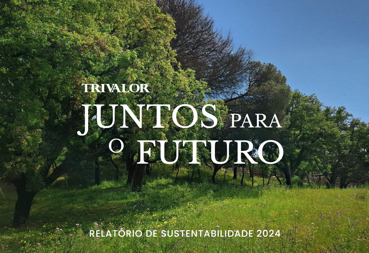 Conheça o nosso Relatório de Sustentabilidade de 2024! | Trivalor